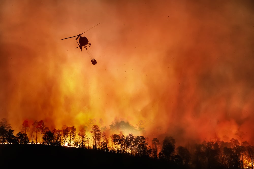 Were You Affected by the Maui Fires? | 7/9/2025