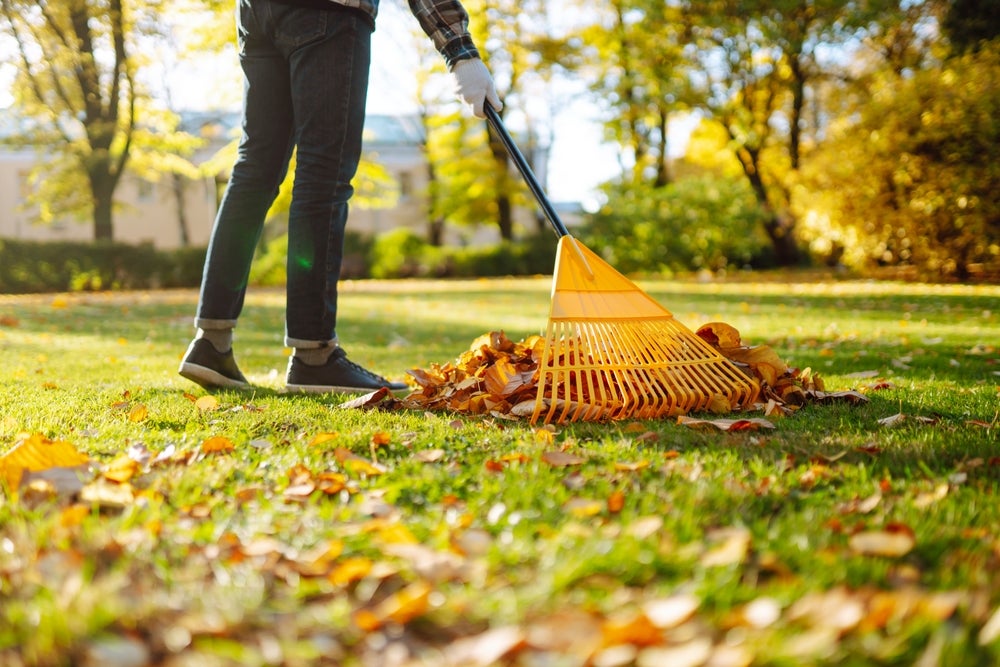 3 Common Autumn Injuries to Watch Out For | 12/17/2025