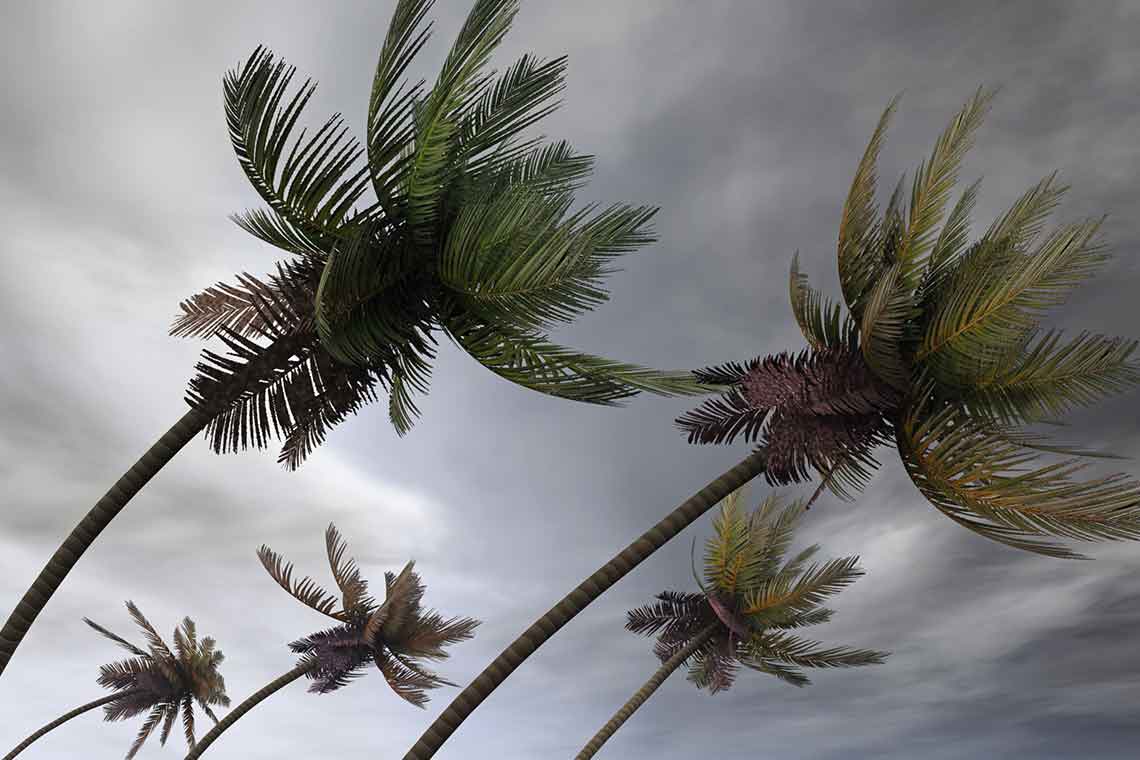 Storm Safety Tips: How to be Prepared for a Tropical Storm